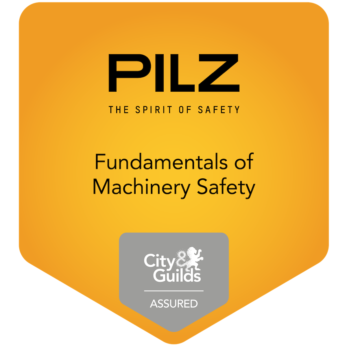 Safety Training - Parmley Graham